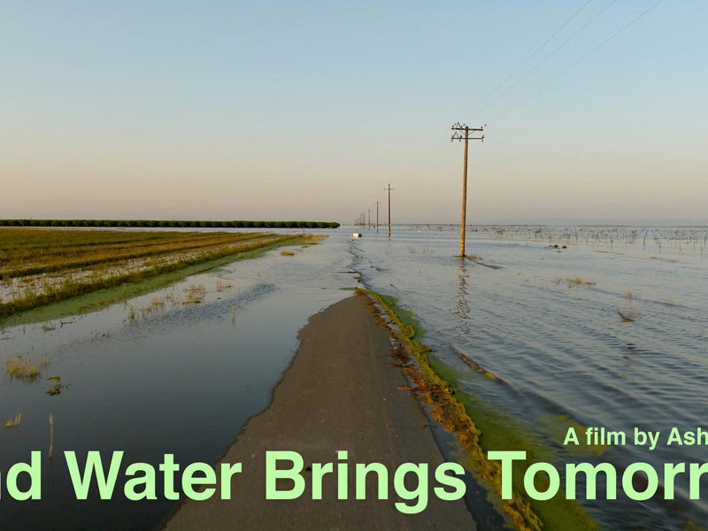 School of Art | CalArts